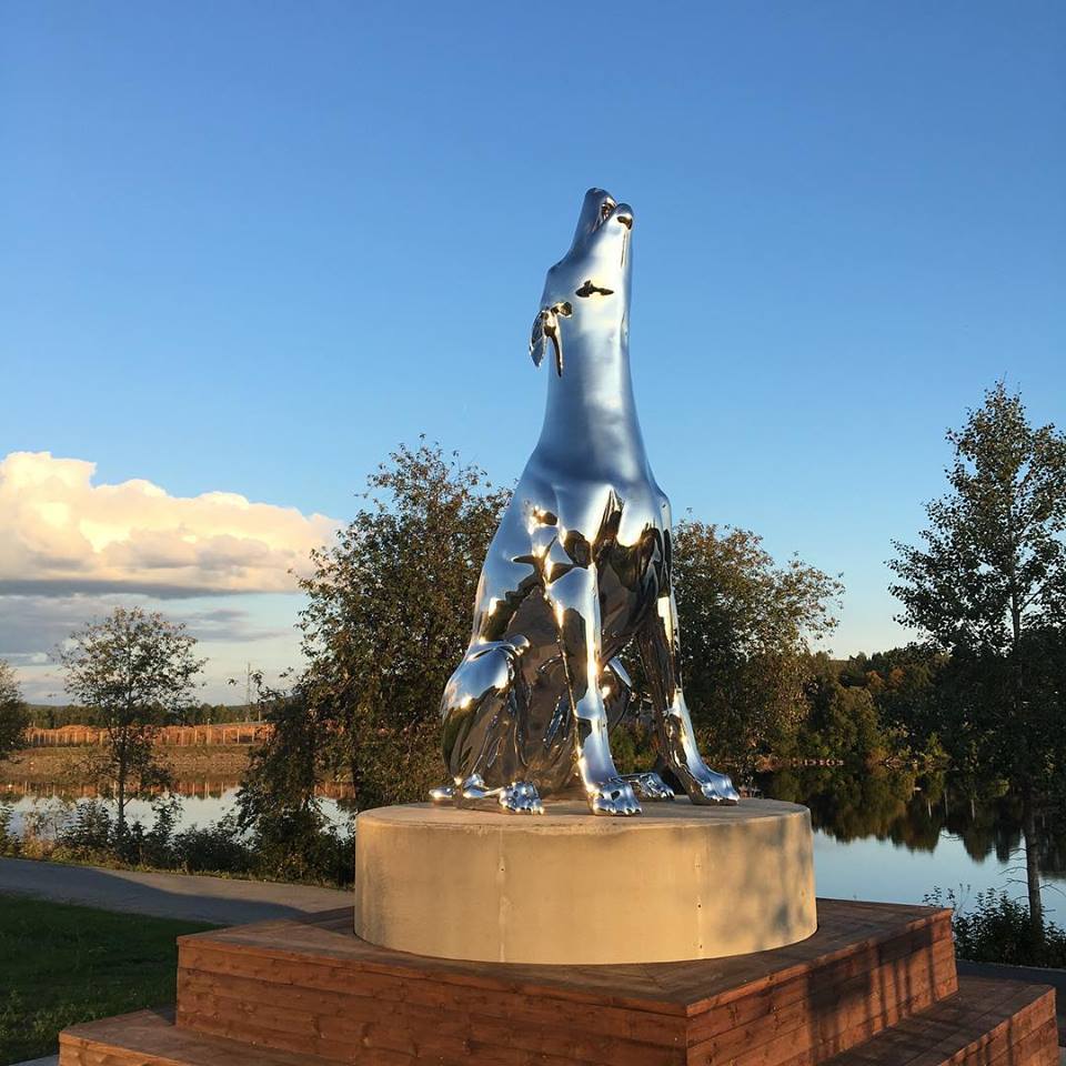 Safari med ulvehyl i måneskinnet Norgesferie 2 timer fra Oslo, Oslo ...