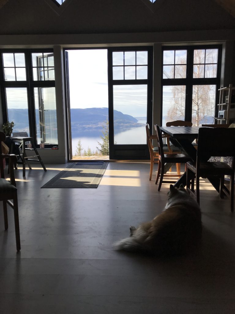 62. Stor hytte 1 time Oslo for 20 personer 5 soverom, langbord til ca ...